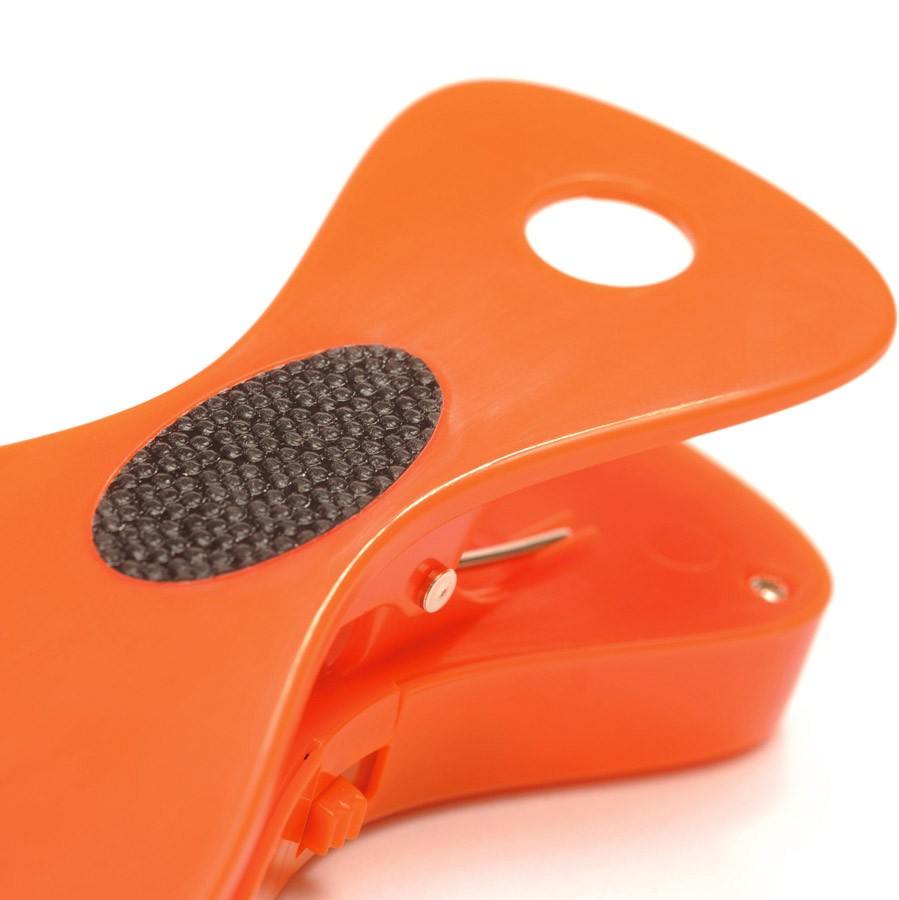 Rainbow Recording Pegs - 6 Pack - Mentis